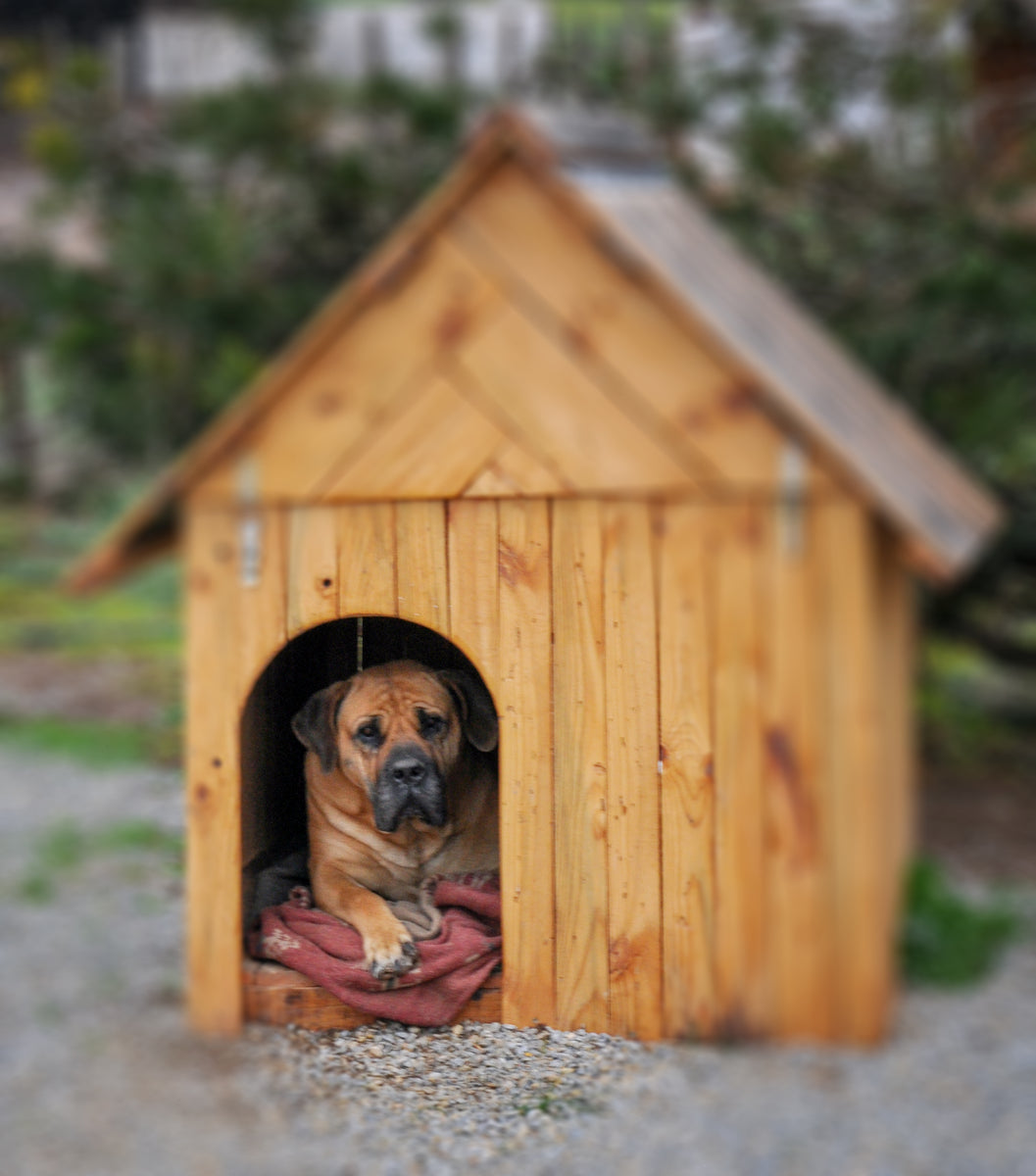 Dog House – 4PAWSPASSION